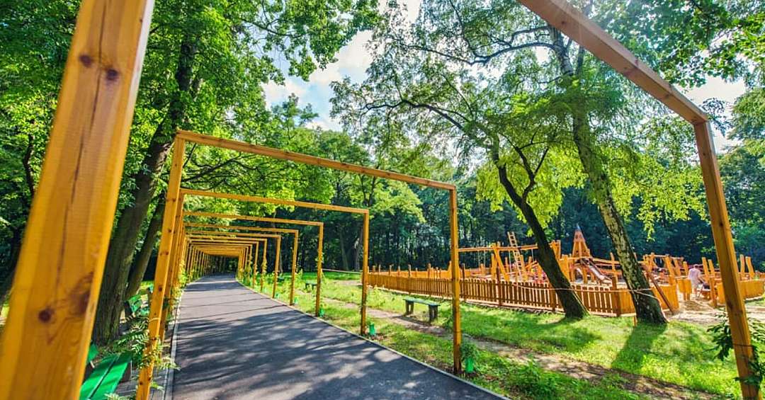 Kierunek GZM. Czy trzeba się bać kosmatki owłosionej? Spacer ...