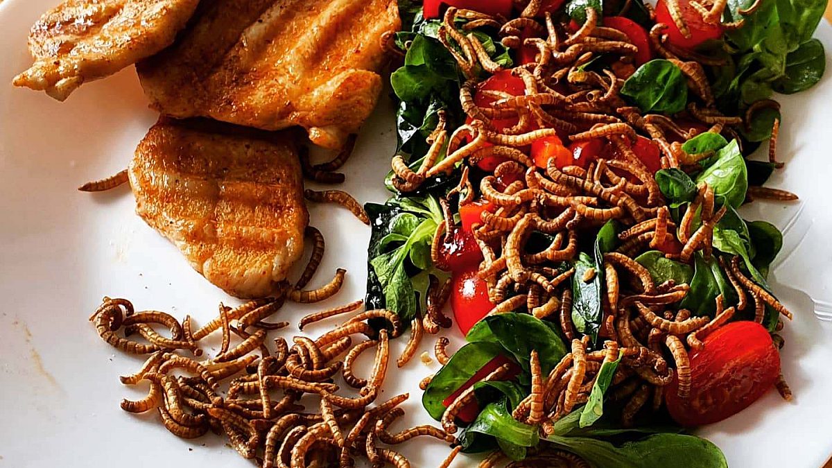 Robaki z paki. Pierwszy sklep na Śląsku z jadalnymi owadami, które ...