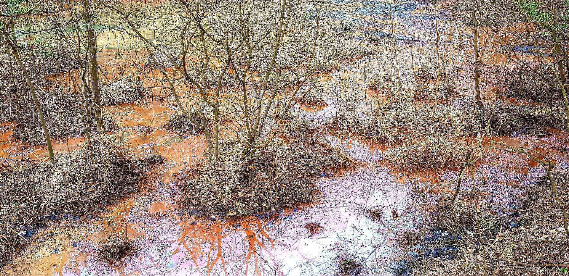 Jaworzno. Pomarańczowa rzeka i niebieskie drzewa. Ten teren od lat ...