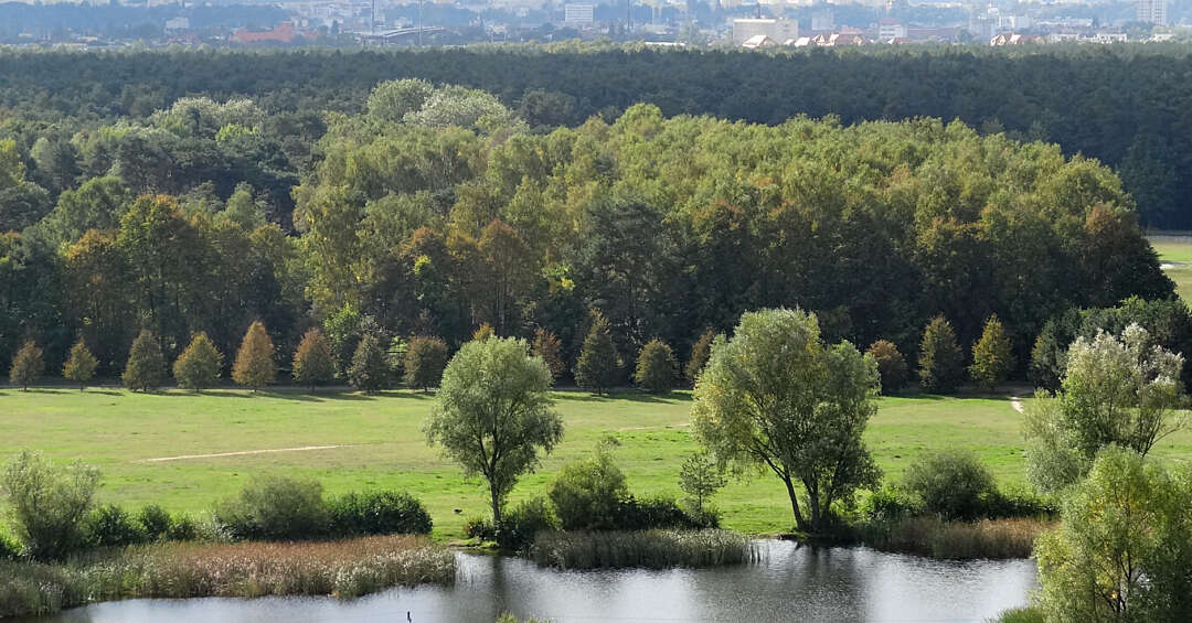 Największy park miejski w Polsce? To nie Park Śląski, lecz Leśny Park ...