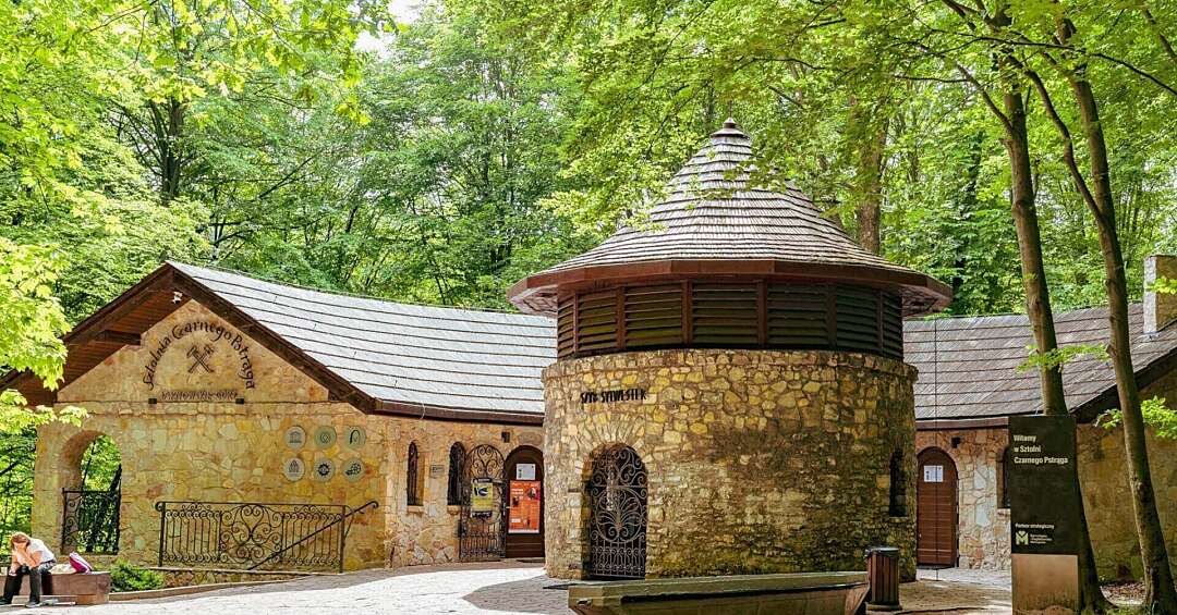 W Tarnowskich Górach ma powstać nowy rezerwat przyrody - Park Repecki ...