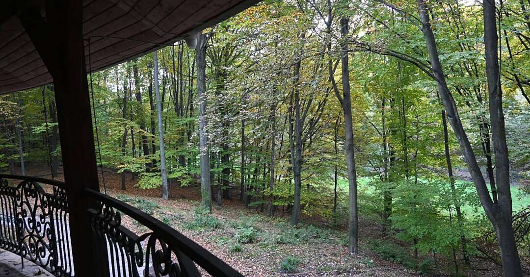 Park Repecki w Tarnowskich Górach poleca się na jesienne spacery. Co ...