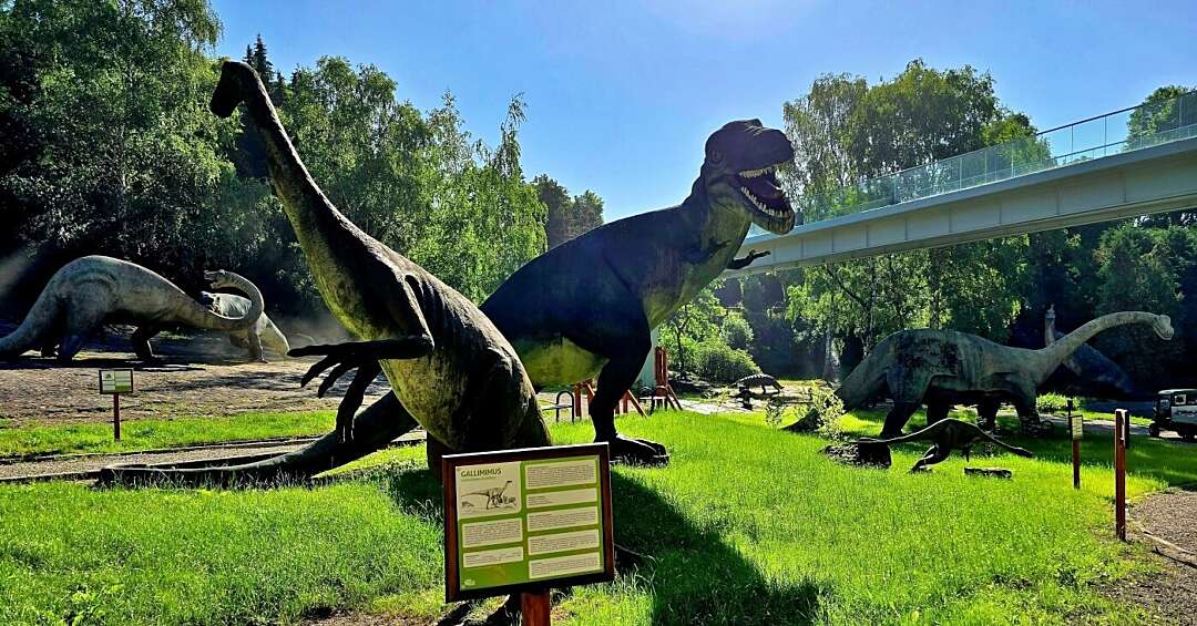 Chorzów. Nowa atrakcja w śląskim zoo. Otwarto przeszkloną kładkę nad ...