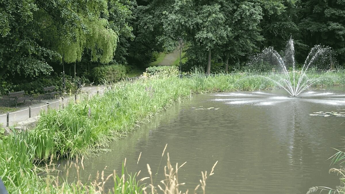 Mikołów, Śląskie: przedstawiono pierwszy w Polsce Regionalny Plan Adaptacji do zmian klimatu dla ...