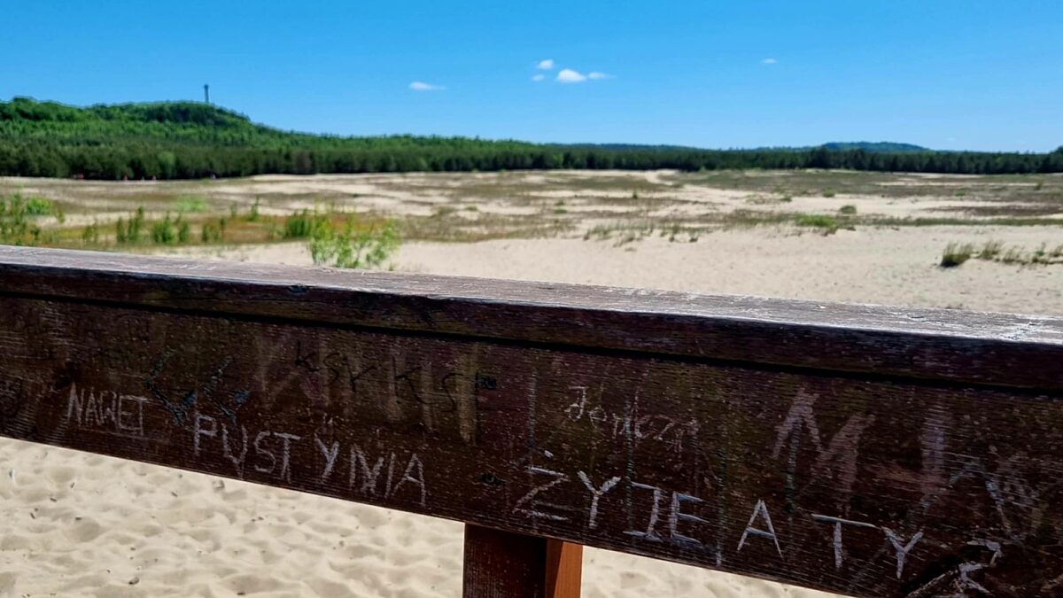 Pustynia Błędowska: turystyczne trasy i niezwykły krajobraz tak blisko ...