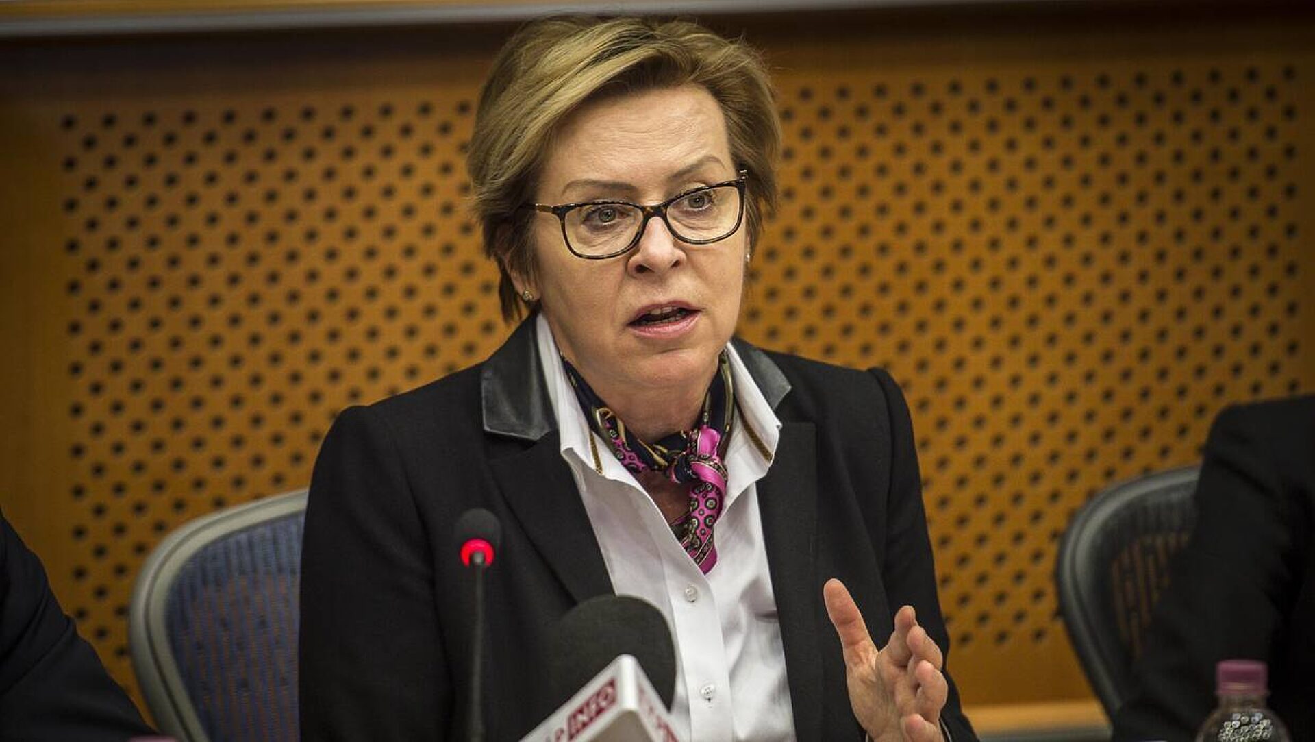 Weto do ustawy o języku śląskim. Europoseł PiS Jadwiga Wiśniewska: ,,To decyzja rozważna i ...