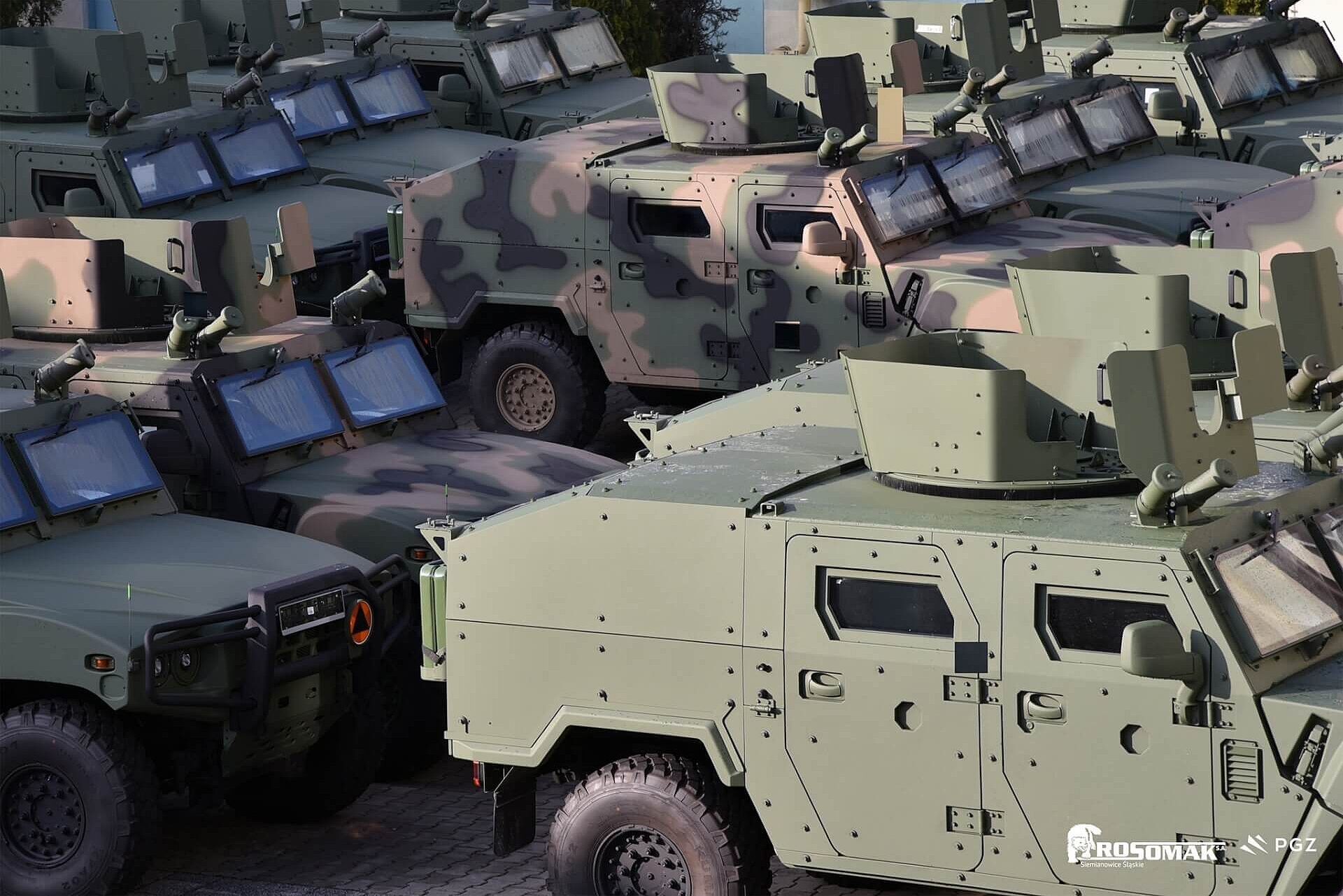 Siemianowice Śląskie. Pierwsze Legwany z Siemianowic Śląskich trafiły ...